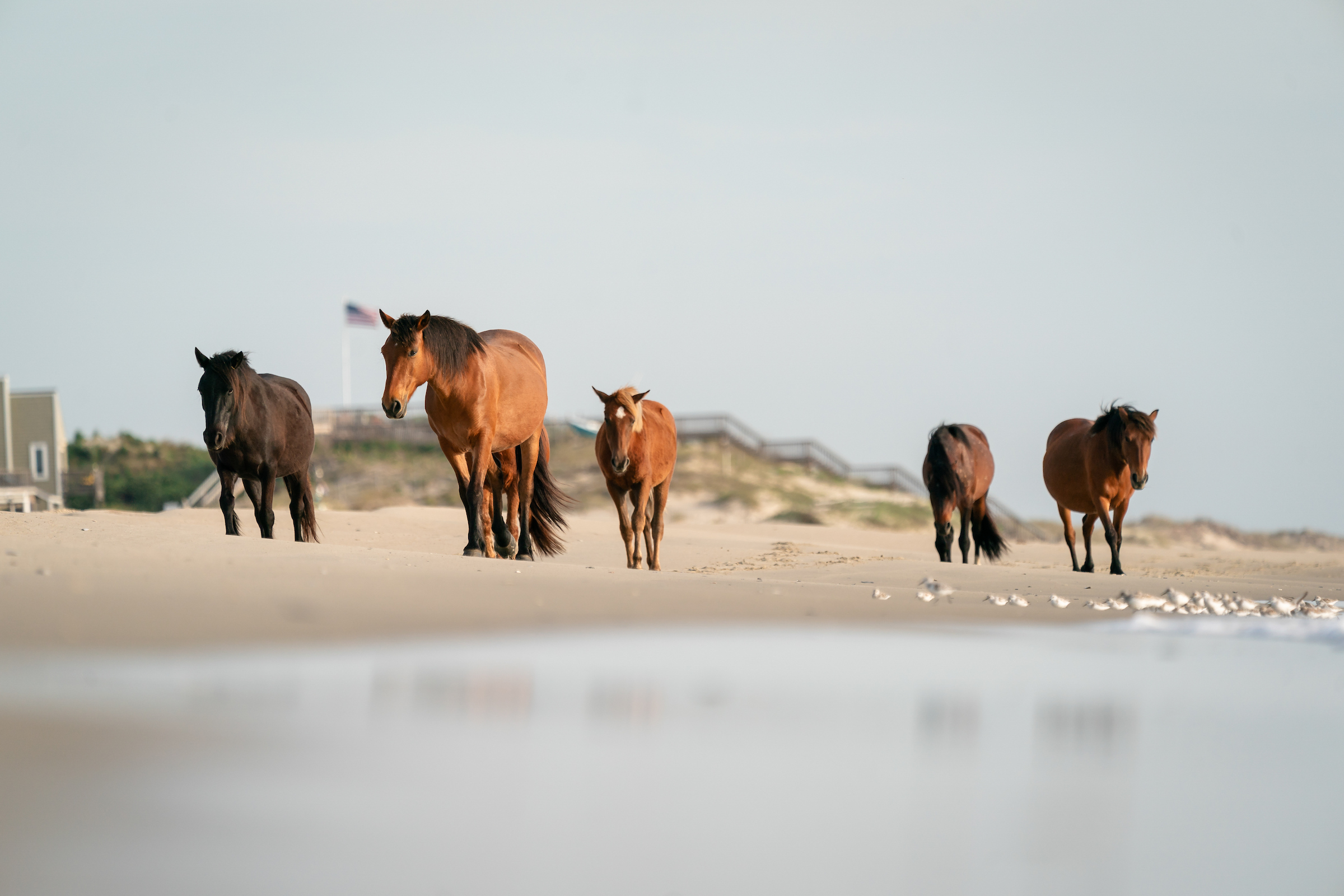 Things to Do on Our Northern Coast - NC Coast Host